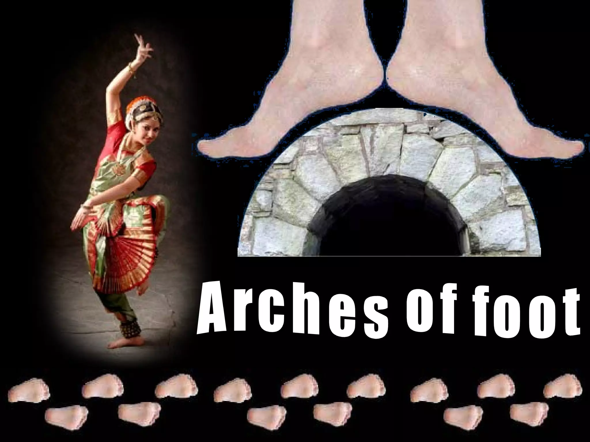 Arches of foot | PPT