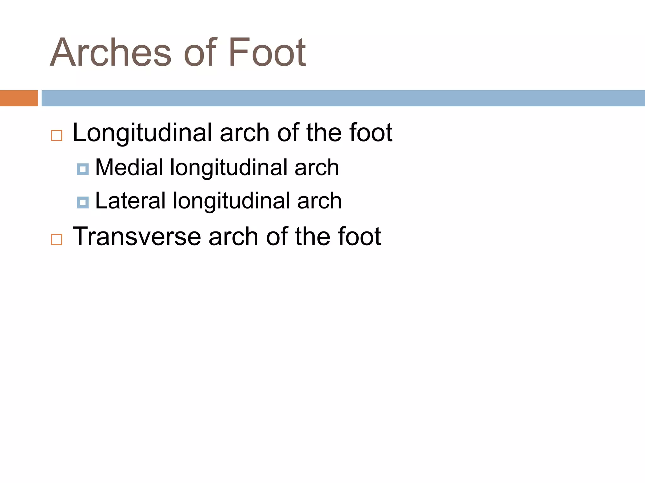 Arches of foot | PPTX