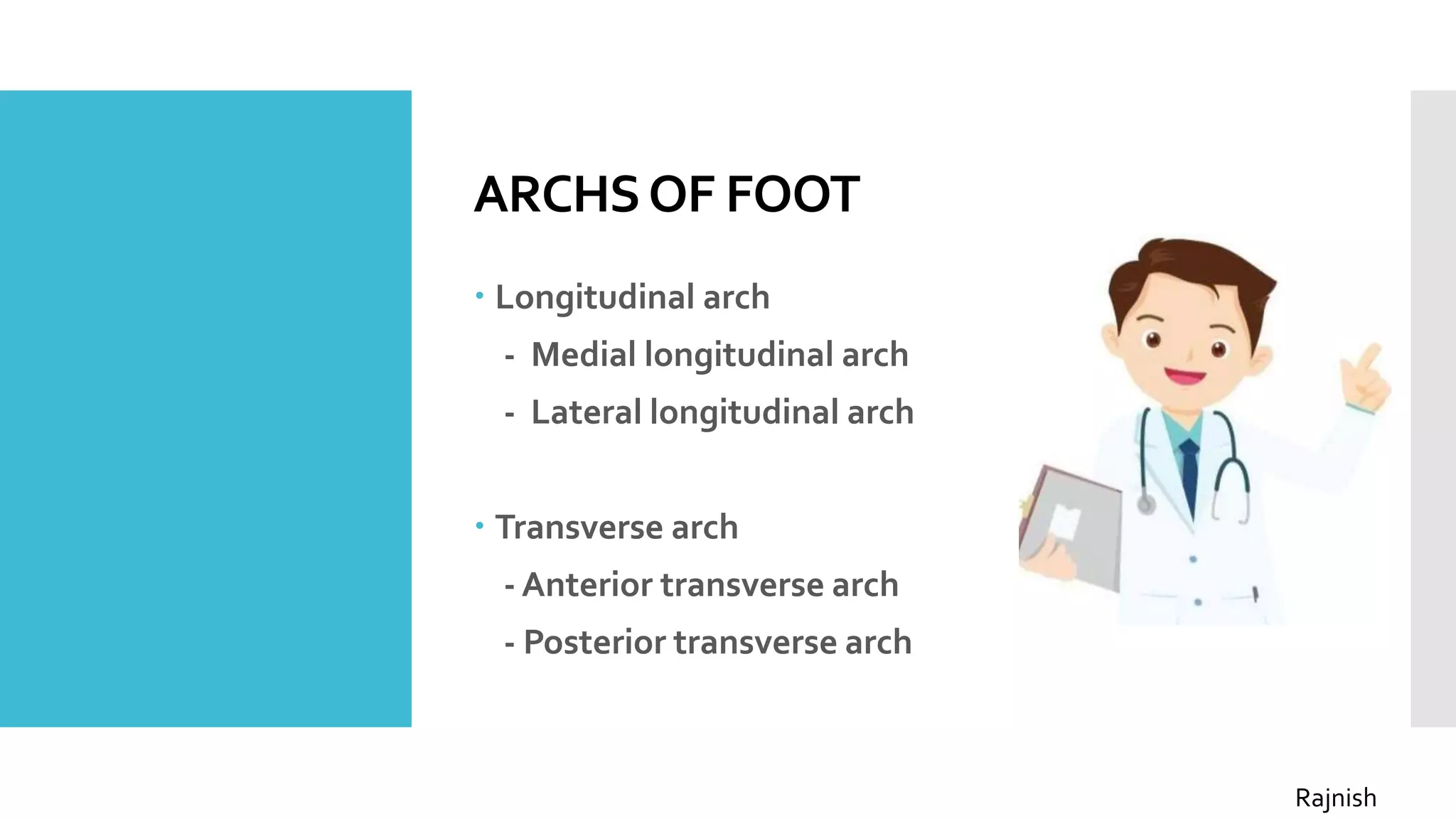 Arches of foot | PPTX