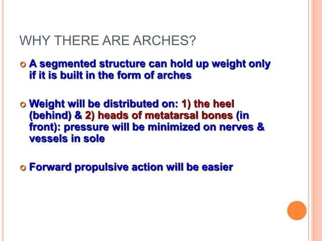 arches_of_foot.ppt