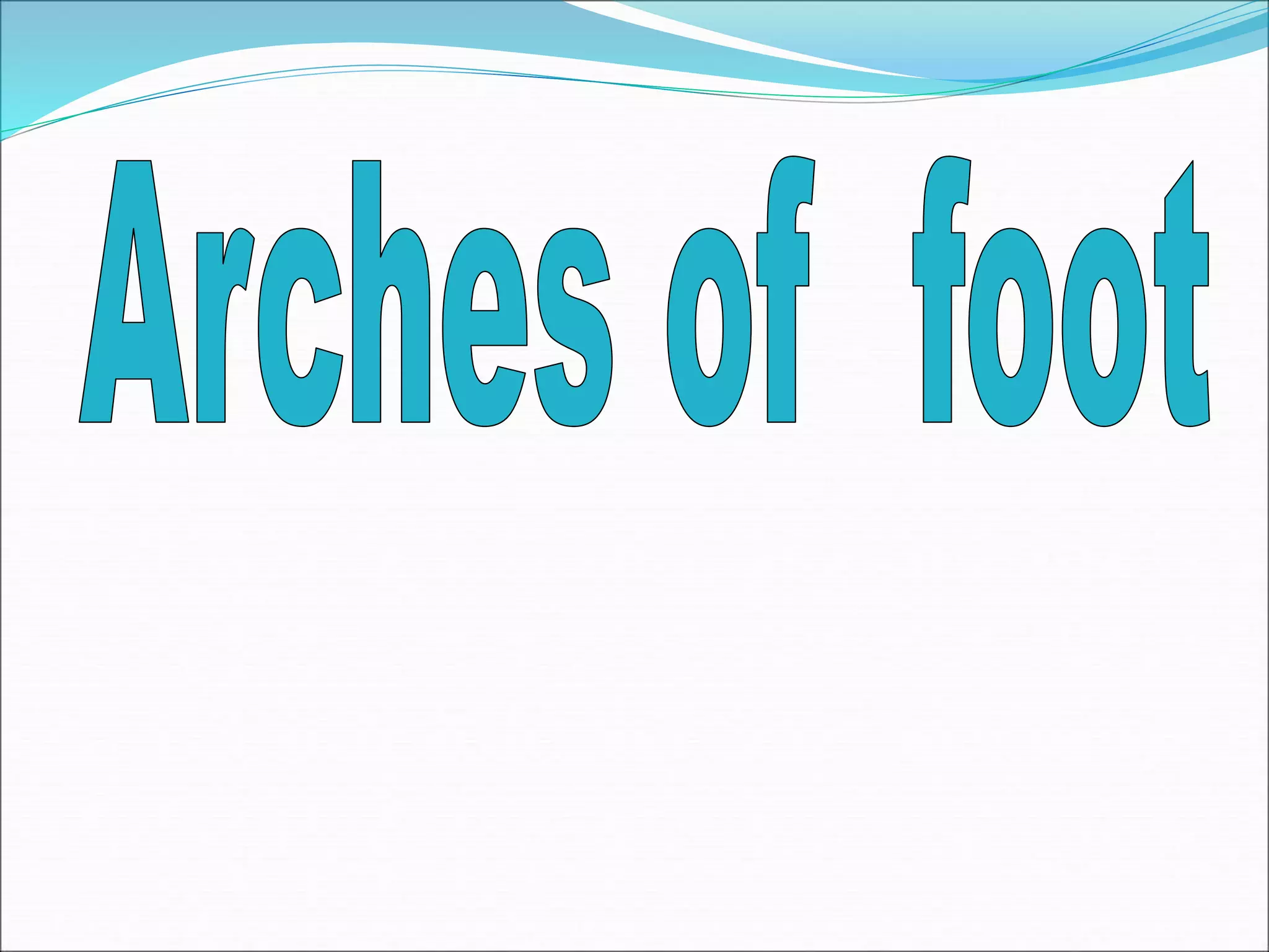 Arches of foot.ppt