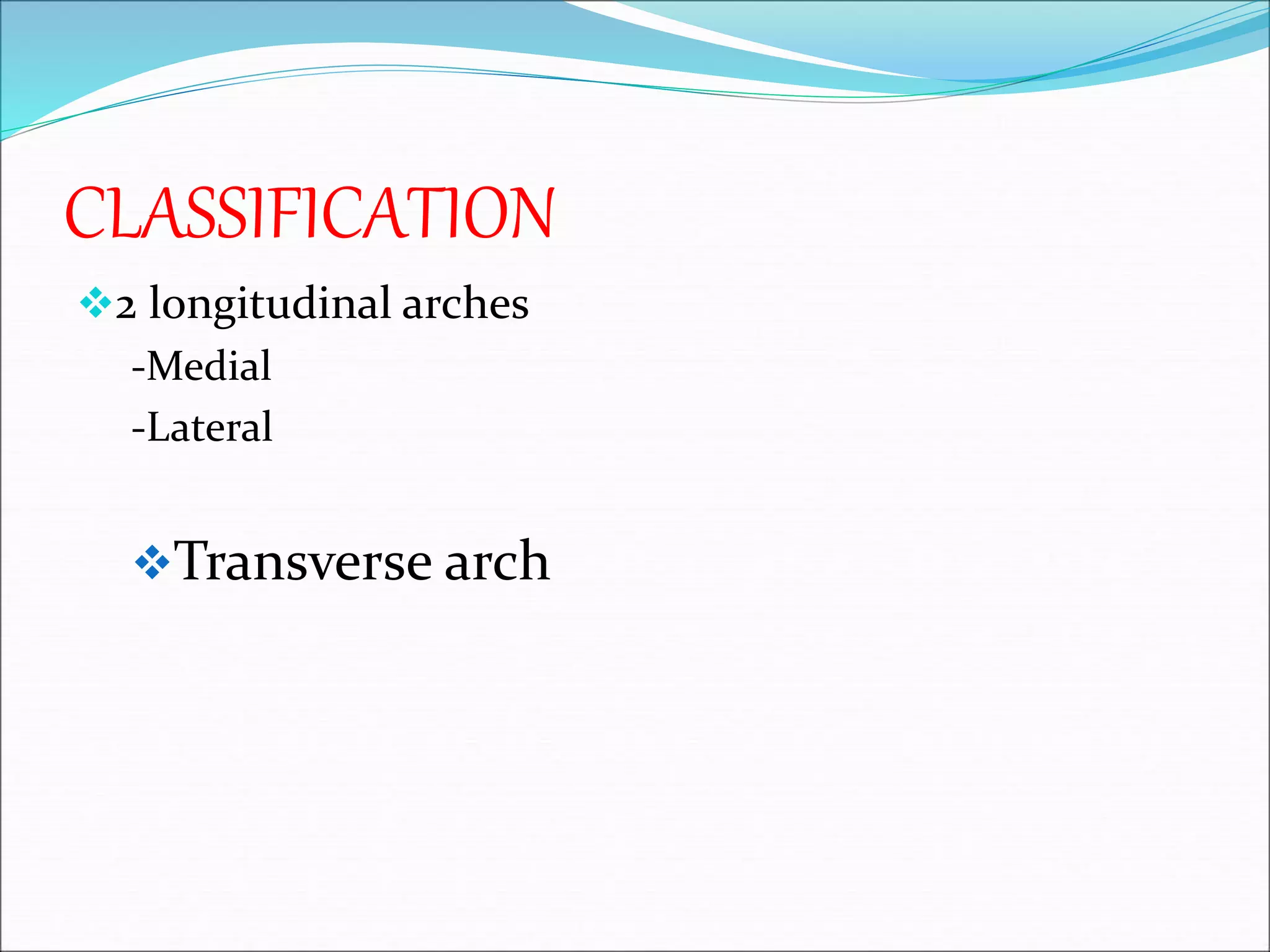 Arches of foot.ppt