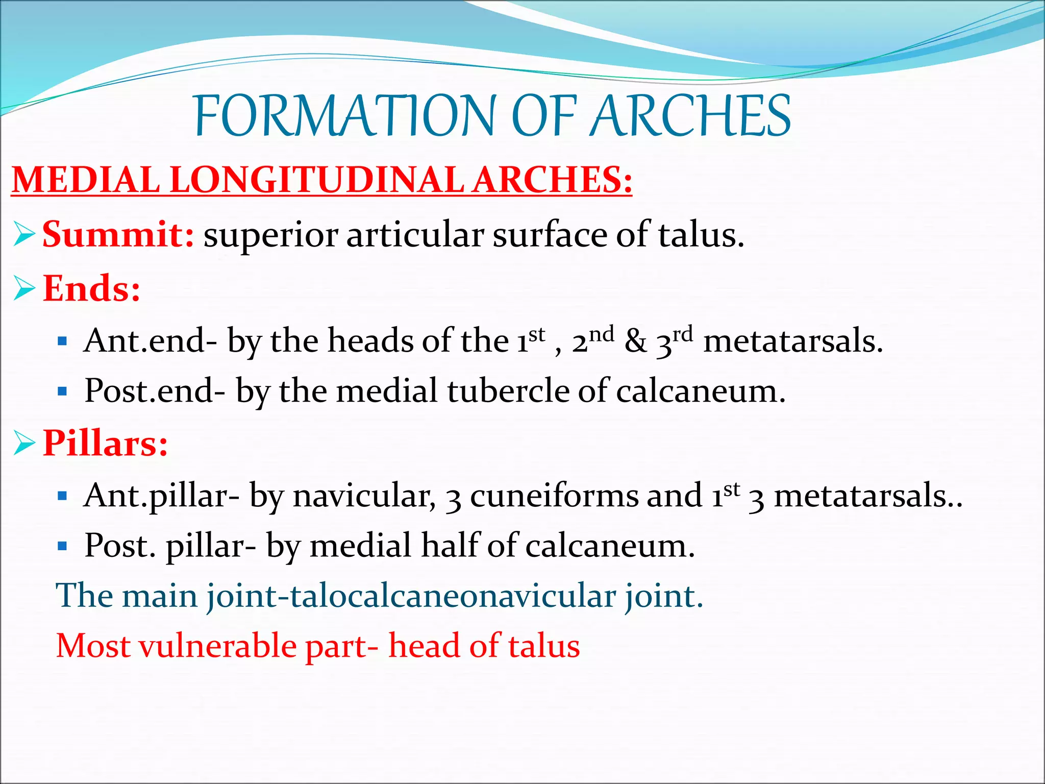 Arches of foot.ppt