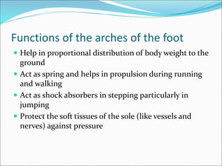 Arches of foot.ppt