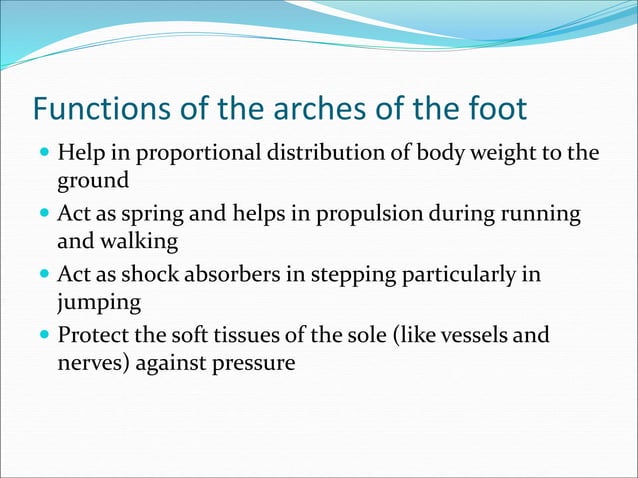 Arches of foot.ppt