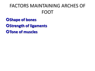 ARCHES OF FOOT.pptx