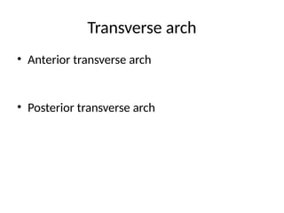 ARCHES OF FOOT and sole anatomy with clinical aspect.pptx
