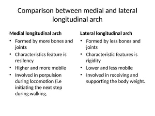 ARCHES OF FOOT and sole anatomy with clinical aspect.pptx