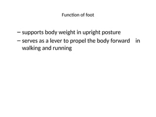 ARCHES OF FOOT and sole anatomy with clinical aspect.pptx