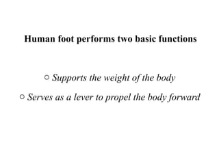 relevant anatomy of Arches of foot the master in topic | PPTX