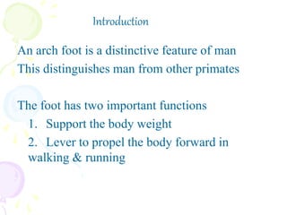 Arches of the Foot.ppt