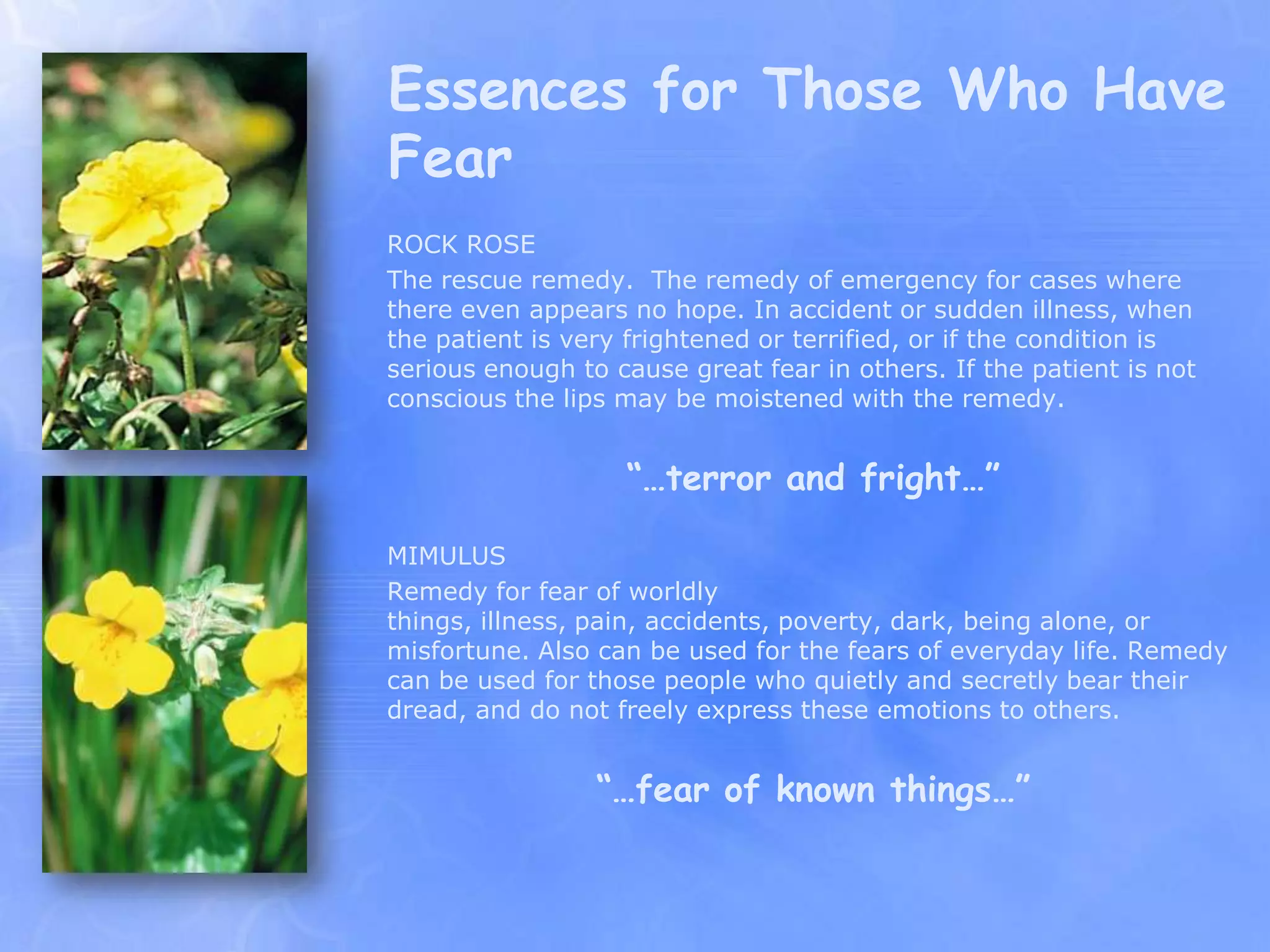 The Bach Flower Essences - Dr. Susan Archibald | PPTX