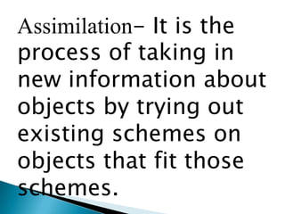 Theories of Growth and Development2 | PPTX | Science