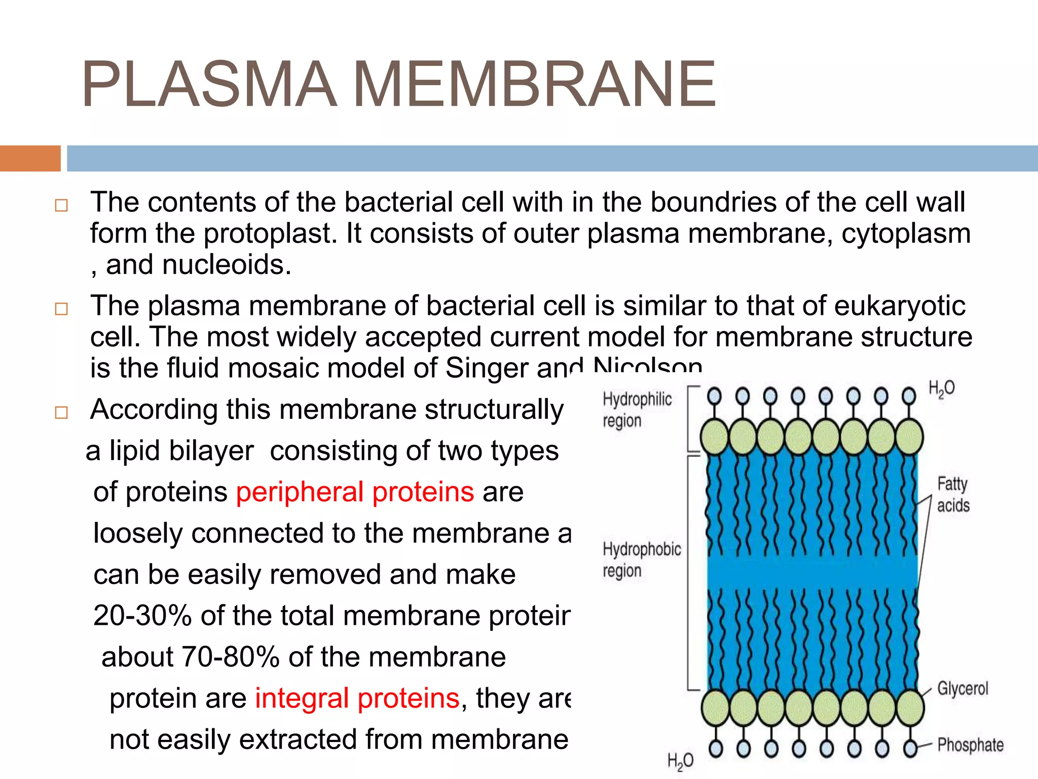 Architechture of microbial cell | PPTX