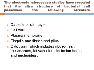 Architechture of microbial cell | PPTX