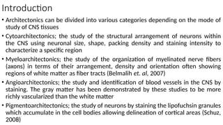 ARCHITECTONICS /advanced neuroanatomy.pptx