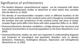 ARCHITECTONICS /advanced neuroanatomy.pptx