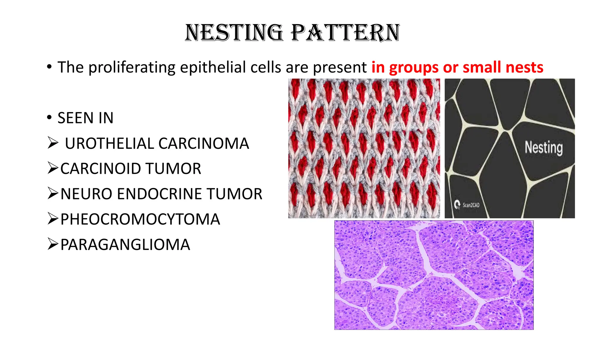 ARCHITECTURAL PATTERNS IN HISTOPATHOLOGY pdf- [Autosaved].pdf