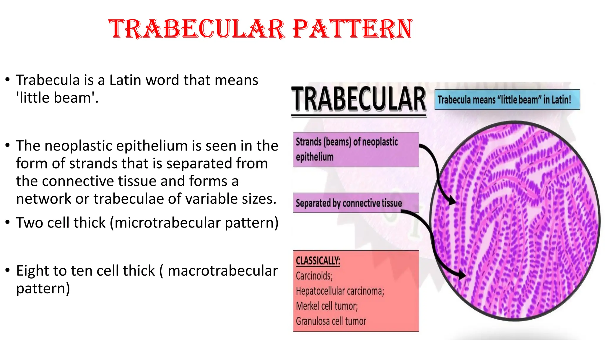 ARCHITECTURAL PATTERNS IN HISTOPATHOLOGY pdf- [Autosaved].pdf