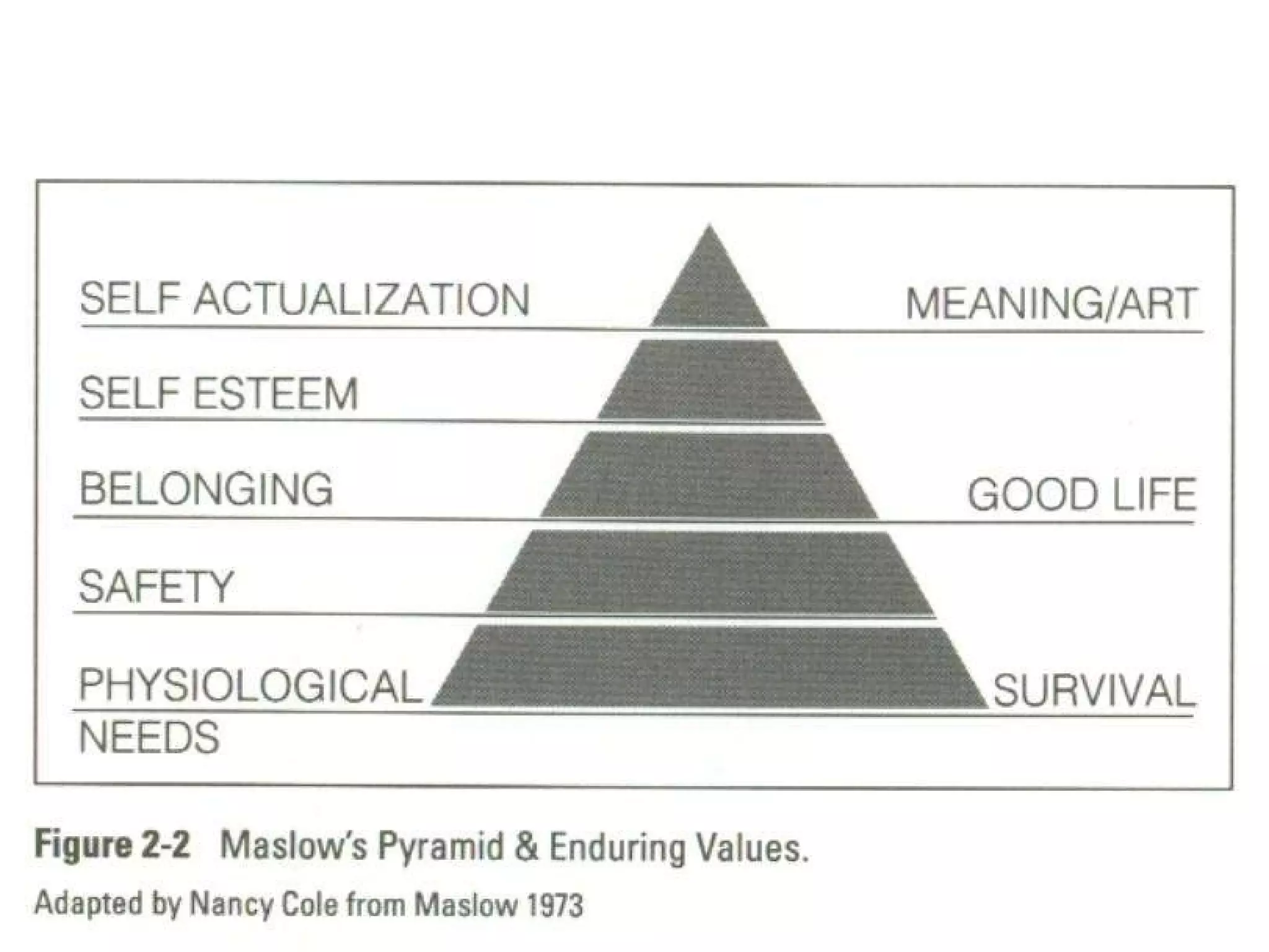 Architectural Professional Practice - Programming الممارسة المهنية ...
