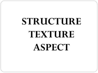 Architecture | PPT