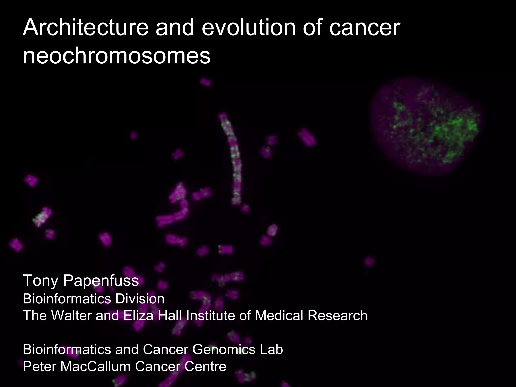 Architecture and evolution of neochromosomes | PPTX