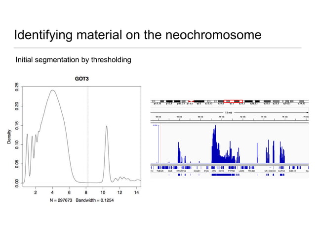 Architecture and evolution of neochromosomes | PPTX