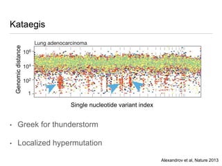 Architecture and evolution of neochromosomes | PPTX