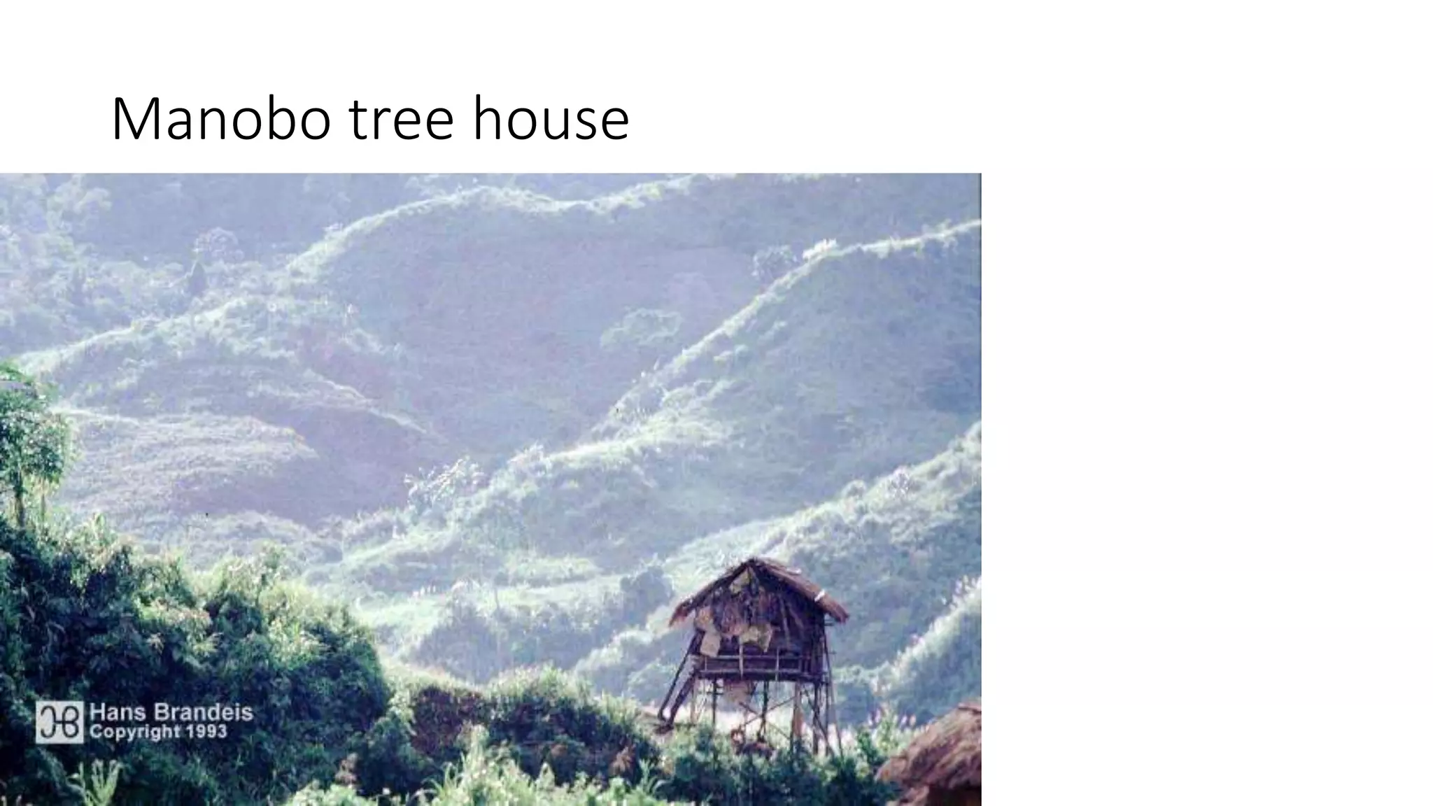 HISTORY: Philippine Architecture (Prehistoric) | PPTX