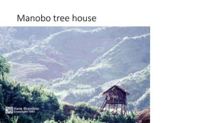 HISTORY: Philippine Architecture (Prehistoric) | PPTX