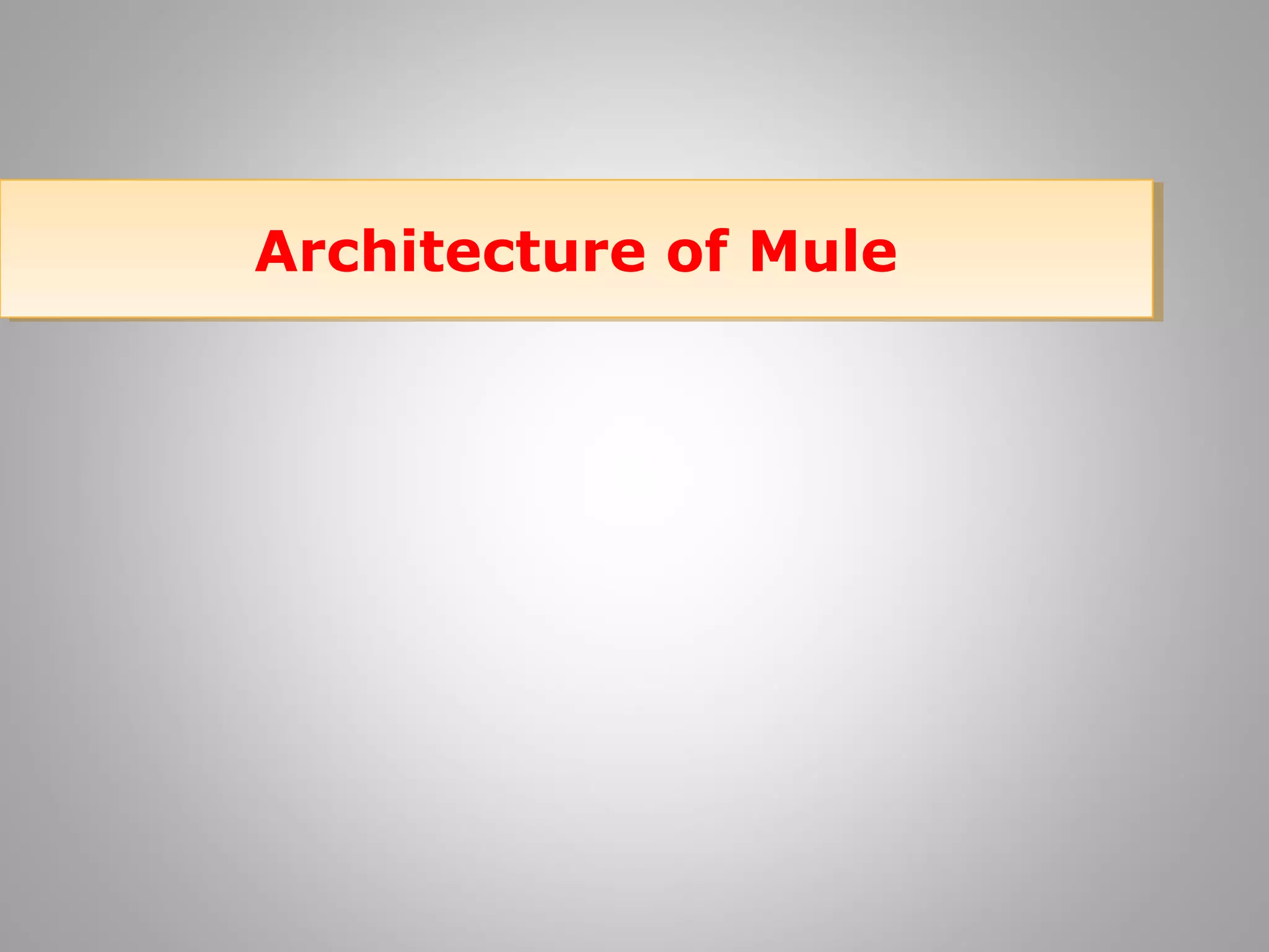 Architecture of mule | PPT