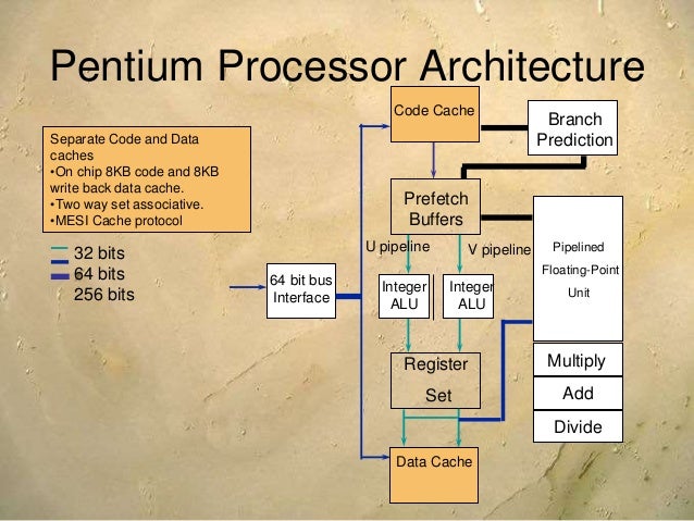 Functional Block Diagram Of Pentium Processor Pentium Archit