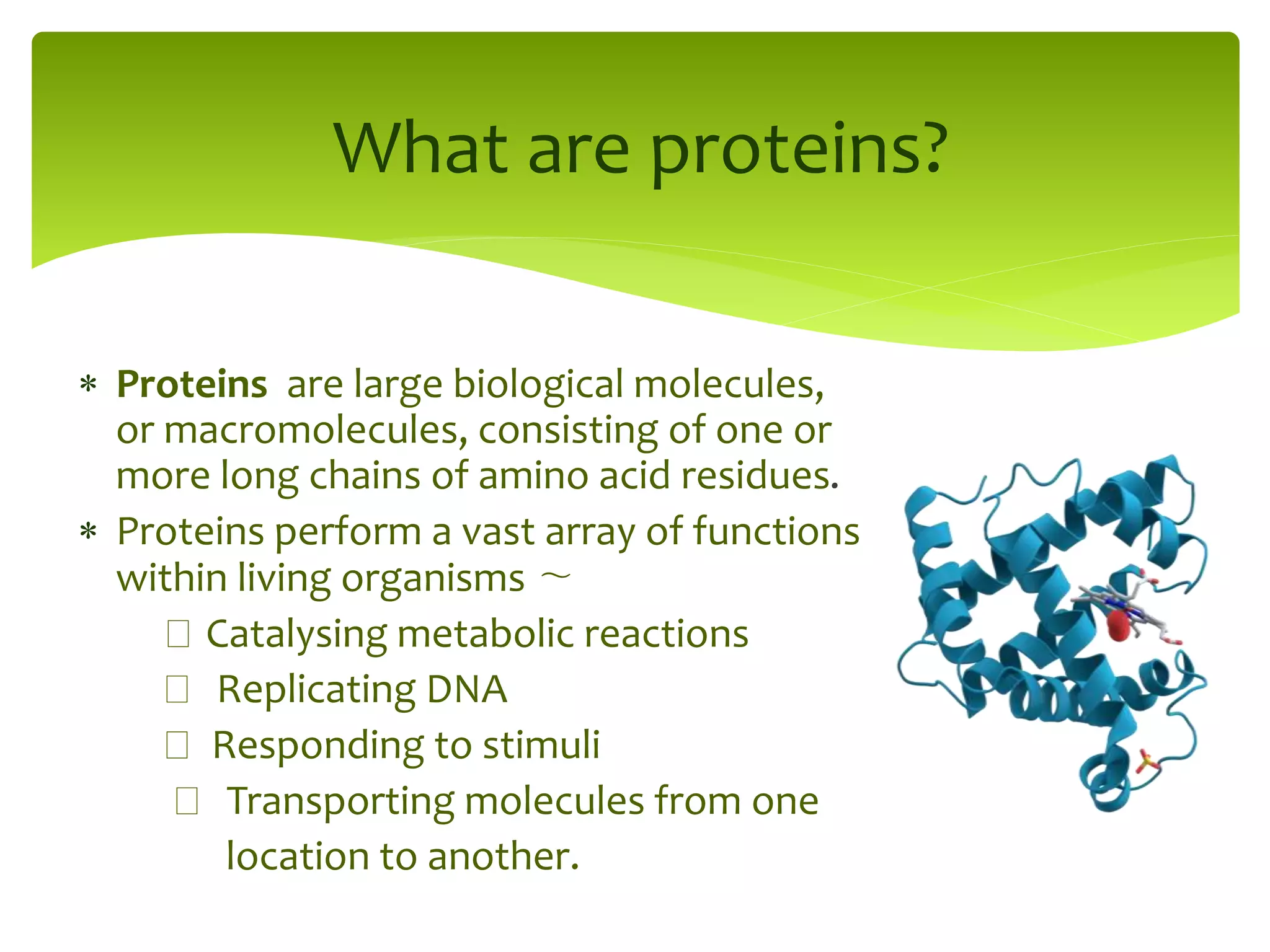 Architecture of proteins | PPTX | Chemistry | Science