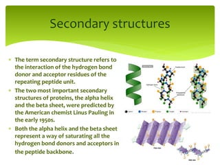 Architecture of proteins | PPTX | Chemistry | Science