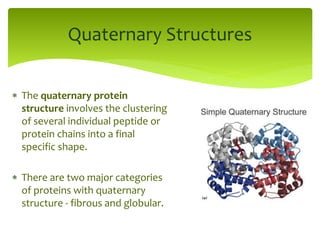 Architecture of proteins | PPTX | Chemistry | Science