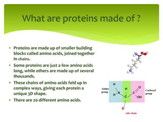 Architecture of proteins | PPTX | Chemistry | Science