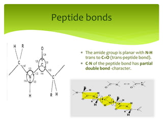 Architecture of proteins | PPTX