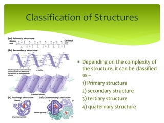 Architecture of proteins | PPTX | Chemistry | Science