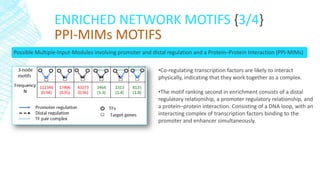 Architecture of the human regulatory network derived from encode data | PPT