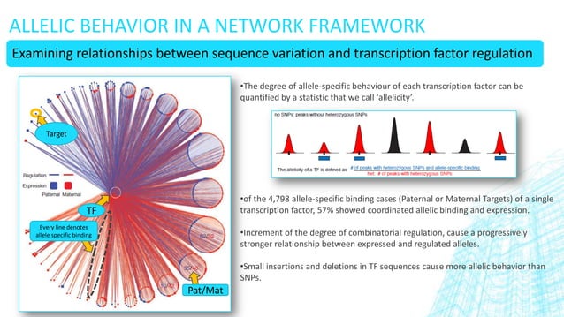 Architecture of the human regulatory network derived from encode data | PPT