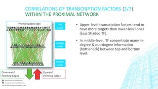 Architecture of the human regulatory network derived from encode data | PPT