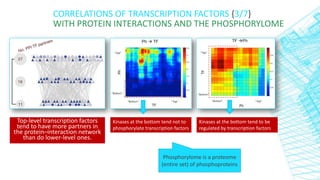 Architecture of the human regulatory network derived from encode data | PPT
