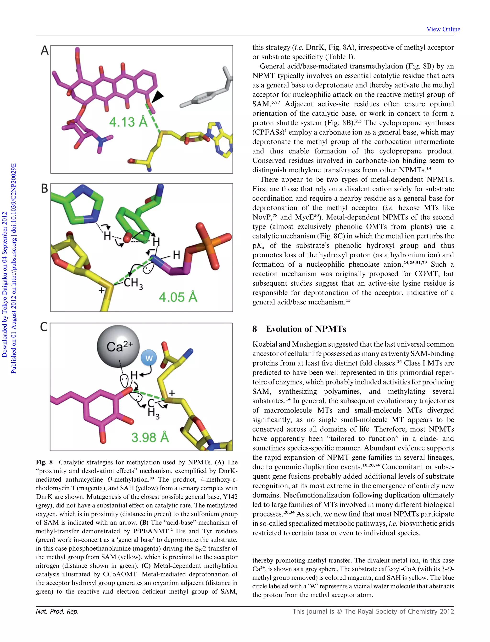 Architectures, mechanisms and molecular evolution of natural product ...