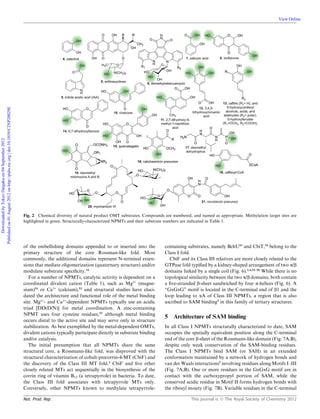 Architectures, mechanisms and molecular evolution of natural product ...