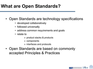 ArchitectureStandardsforeGovtJS5Nov06 (1).ppt