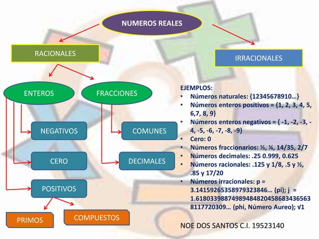 Mapa Conceptual Numeros Reales Grado Octavo Images