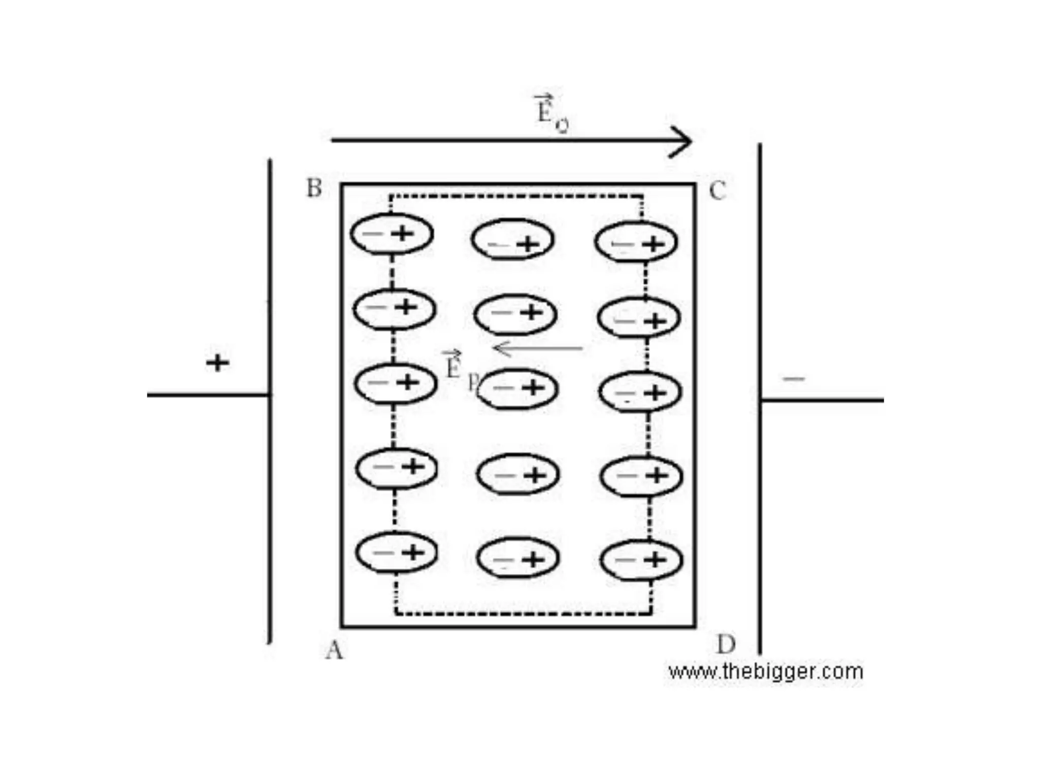 electric polarization Archna | PPTX