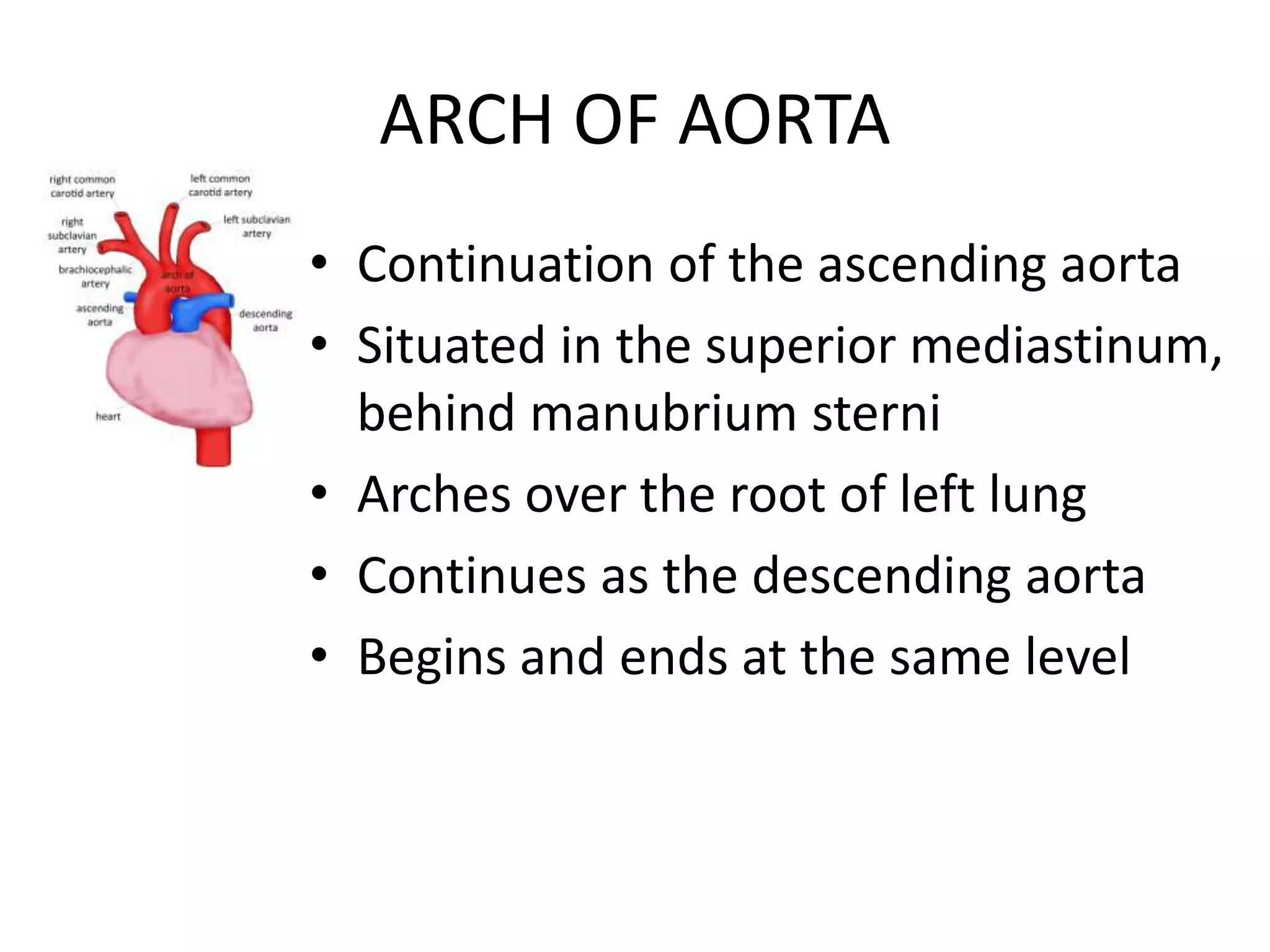 Arch of aorta | PPTX