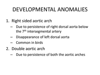 Arch of aorta | PPTX