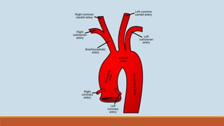 Arch of aorta | PPTX